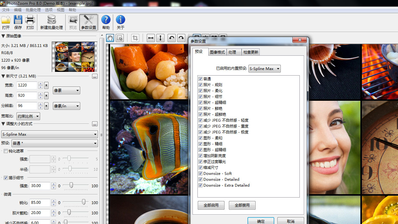 PhotoZoom Classic便携版下载-PhotoZoom Classic图片无损放大软件下载 - 中华网软件