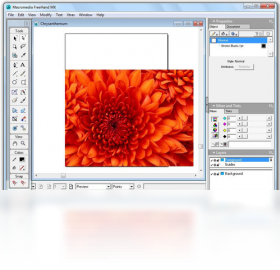 Freehand官方电脑版下载，Freehand软件官网最新版下载 - 中华网软件